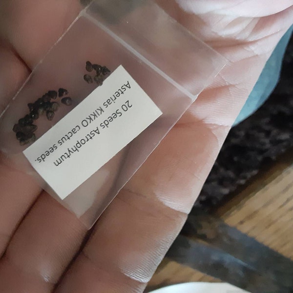 Easter Spring April Classroom Door Decor and Bulletin Board Kits Print ...