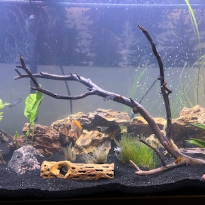 Windy Pods for Shrimp Fish Aquariums Craft Supplies - Etsy