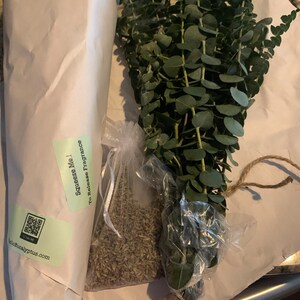 Large Fresh Eucalyptus Shower Bundle Eucalyptus Bundle - Etsy