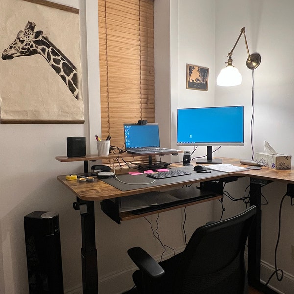 Wall Sconce With White Glass 8" White Gourd Shade and Adjustable Arm - Etsy