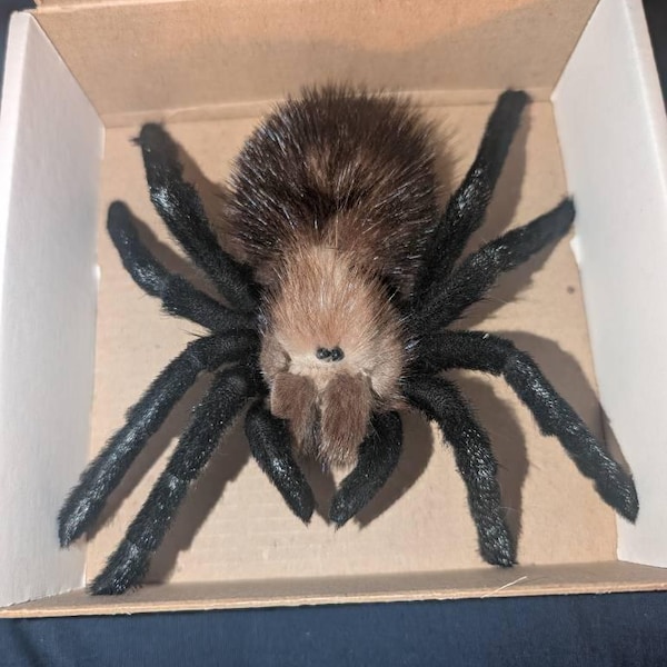 Giant Spider Sleeping Plush for Adults, Weighted Plushie, Cute Monster ...
