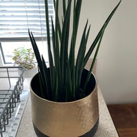 Buy Gold Planters, Black and Gold Planters, Gold Home Decor, Gold ...