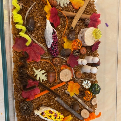 Fall Themed Sensory Bin - Etsy