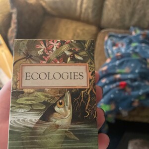 Ecologies Card Game Gameplay Inspired by Nature Use | Etsy UK