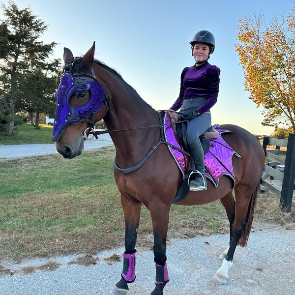 Roäc's Prophecy Crinet {neck Piece} - Etsy