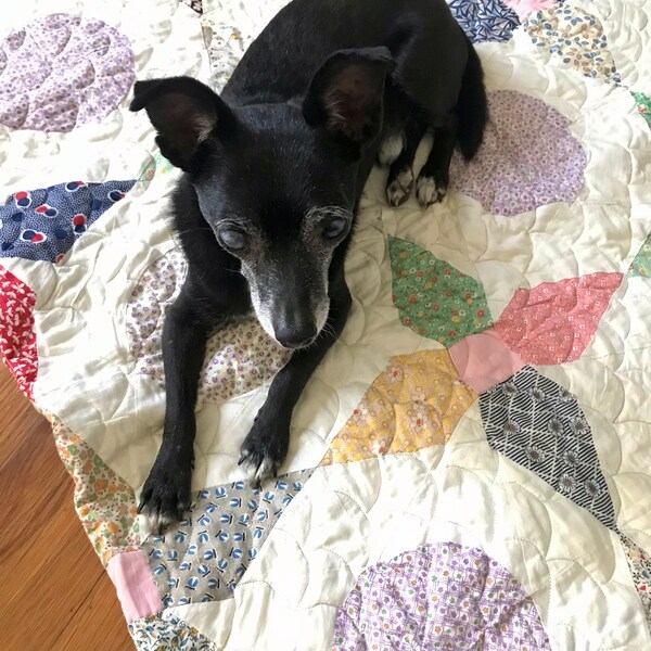 Gorgeous Vintage Cheddar Quilt! 9 Patch Variation Quilt. 58”x72 ...