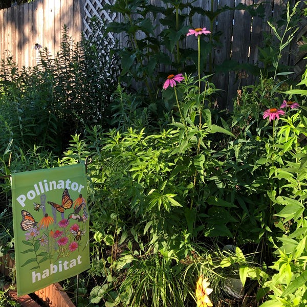 Native Plant Pollinator Garden Flag Sign, Native Pollinator Sign Flag ...
