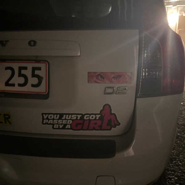 Pikachu Squished Sticker - Waterproof Vinyl Sticker | Aussie Funny Meme ...