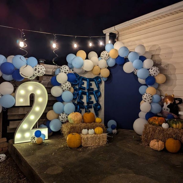 Kissing My Teens Goodbye Balloon Banner Birthday Party Balloons 20th ...