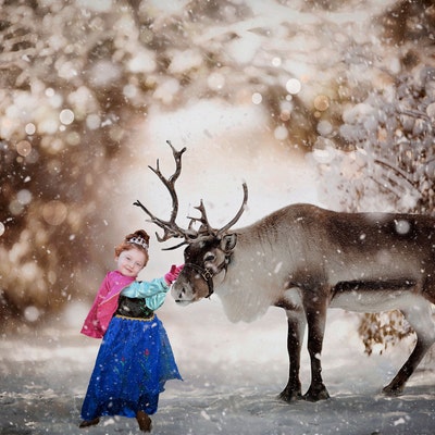Reindeer in A Bokeh Winter Arch, Digital Background, Christmas Backdrop ...