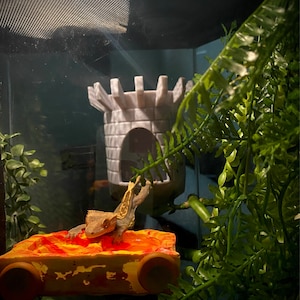 Crested Gecko and Frog Hanging Castle Tower Hide - Etsy