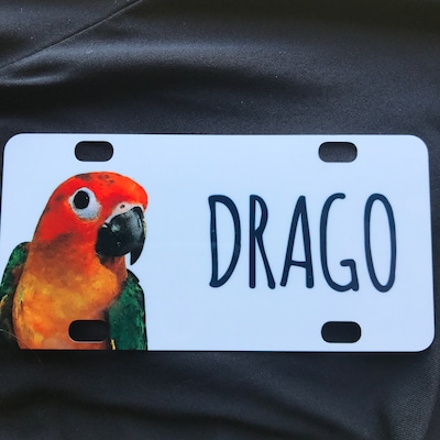Custom Bird Cage Nameplate From Photo / Personalized Bird Cage / Bird ...