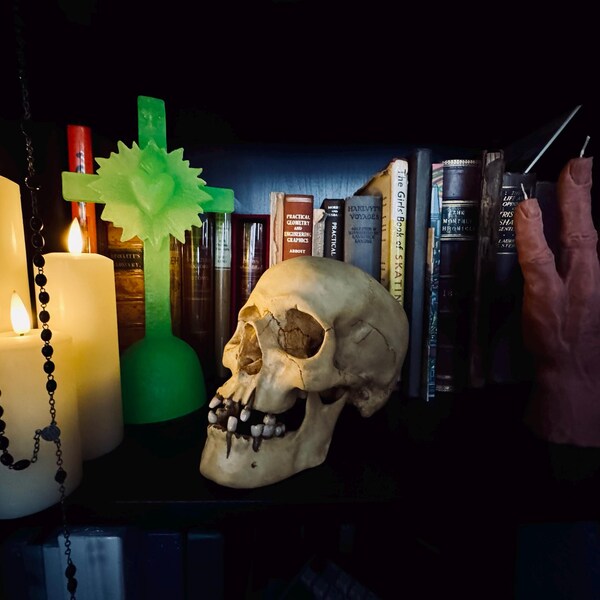 Realistic Human Skull Replica - Life-size, Dark Tones, Anatomical Decor ...