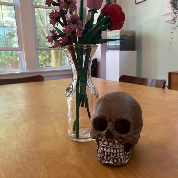 Glass Coffin Shelf Display - Etsy