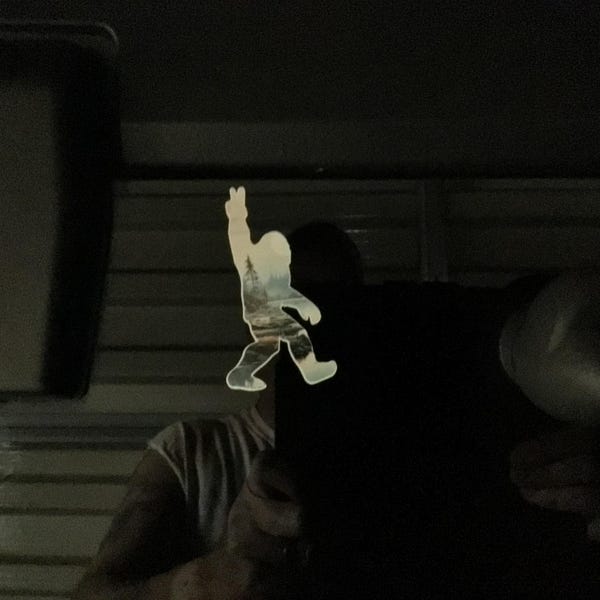 Miller Light Sticker - Beer Can or Beer Bottle -fan Art- High Quality ...