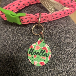 Pasta Dog Tag for Dog Spaghetti and Meatball Pet Tag | Etsy