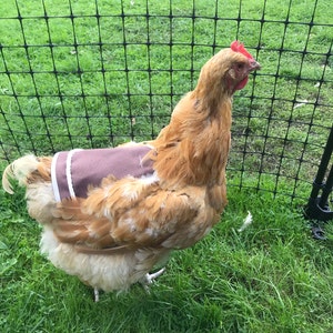Chicken Saddle Chicken Apron Hen Protector Waterproof - Etsy UK