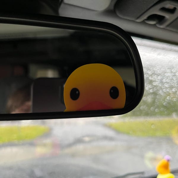 Duck Peeker Rear View Mirror/sun Visor Decal - Etsy