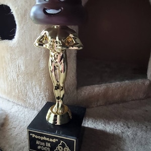Poop Emoji the Biggest Poophead Trophy Funny Poop Head Custom Trophy - Etsy
