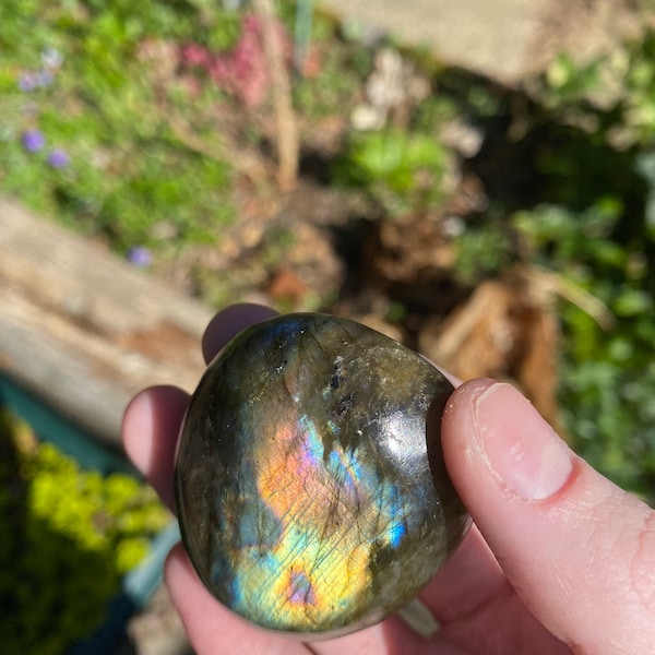 Spectrolite Stone - Polished Spectrolite Palm Stone - Extra Quality ...