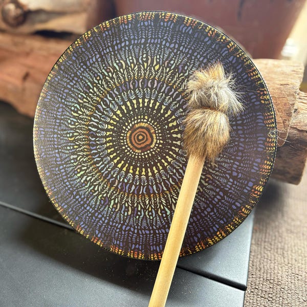 Seed Shell Shaker Cha Cha Nut Sound Healing Gift Box Back to Nature ...