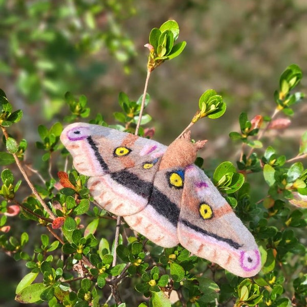 Needle Felted, Felt Brooch, Moth, Peach Blossom, Insect Brooches, Felt ...