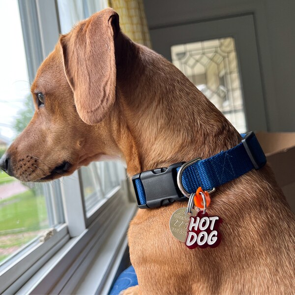 Hot Dog Personalized Pet Tag, Summer Dog ID, Wiener Dog Ready - Etsy