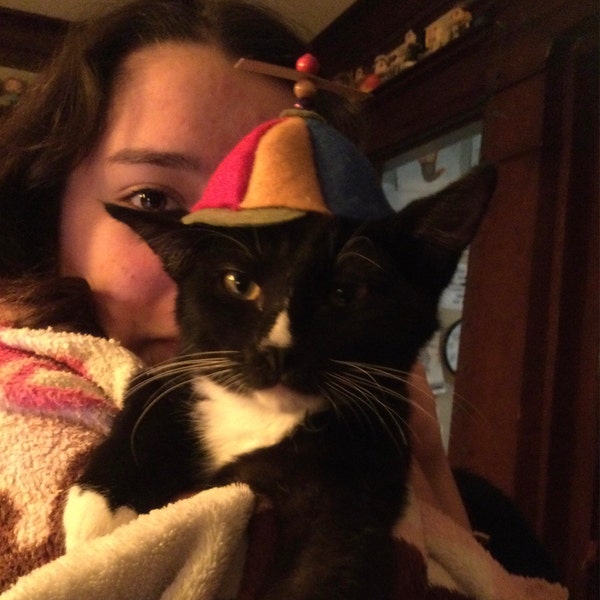 Cat Propeller Hat – Colorful Pet Costume, Photo Prop - Etsy