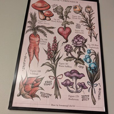 Hyrule Compendium Breath of the Wild Tears of the Kingdom Botanical ...