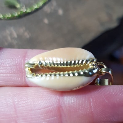 Real Natural Cowrie Shell, Gold, Sterling Silver, Rose Gold, Gold ...