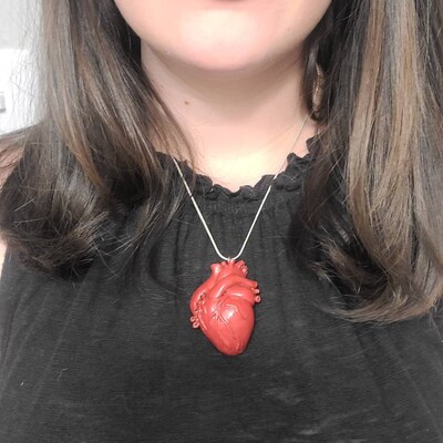 Anatomical Heart Magnet Set, Medical Human Organs Kitchen Magnet, EMS ...