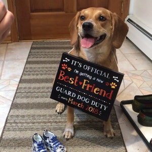 PRINTABLE // Best Friend Guard Dog Duty Pregnancy Announcement - Etsy
