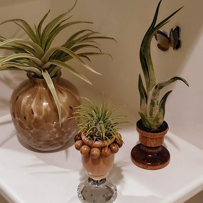 Rustic White Washed Wood Riser, Small Tiered Tray Riser, Farmhouse ...