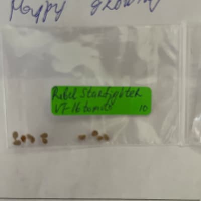 Amber Baron, Tomato Seeds From Kazakhstan Variety - Etsy