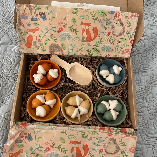 Acorn Sorting | Montessori Toys | Wooden Toys - Etsy