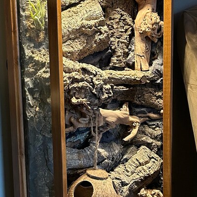 Phase 22 Cryopak 4 Pack - Etsy