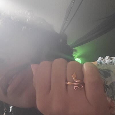 Sadhguru Ring Consecrated Isha Copper Snake Ring Sadguru Ring Isha ...