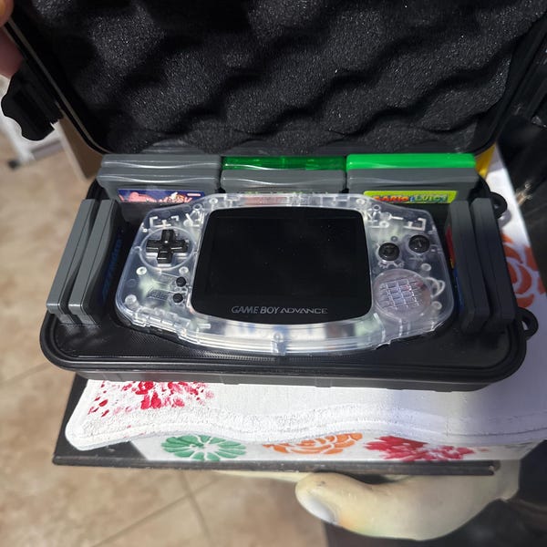 Nintendo DS Lite Carrying Case – Durable, Stylish Protection for DS ...