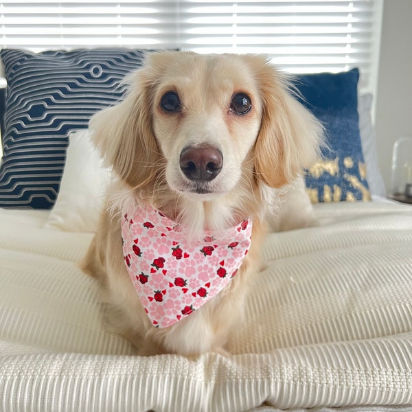 Adopt Me Reversible Snap-on Pet Bandana, Snap on Dog Bandanas, Cat ...