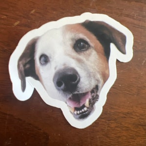 Custom Pet Sticker, Animal Sticker, Personal Sticker, Photo Pet Sticker ...