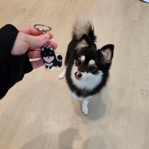 Blue Tang Tropical Fish Waterproof Die Cut Sticker Kawaii Chibi ...