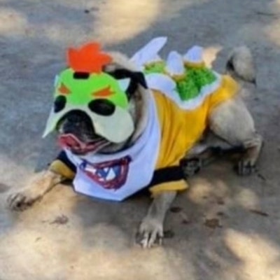 Bowser Tortoise Costume - Etsy
