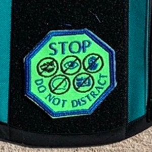 Halloween Spooky Service Dog Patches Spooky Dinosaurs Costumes | Etsy