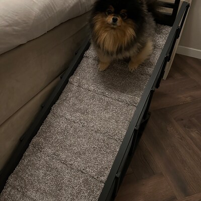 Pet Ramp With Foldable Rails 4 Height Levels Adjustable Steps - Etsy