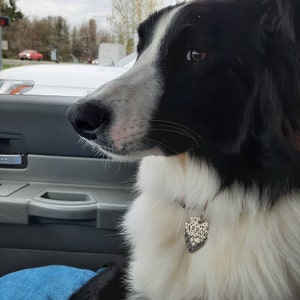 Dog Tag Camper Dog Tag Adventure Personalized Dog Tag Pet | Etsy