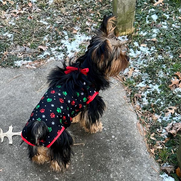 Dog Snuggle Bed Sewing Pattern and Tutorial PDF Dog Sleeping Sack Dog ...