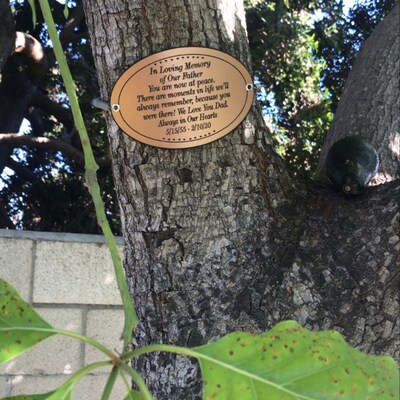 Tree Plaque bracelet Memorial Tree Tags. Tree Markers. Safe & Gentle to ...