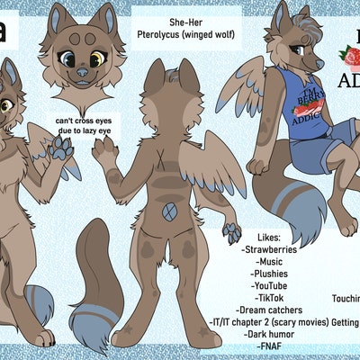 Complex Furry Reference Sheet - Etsy