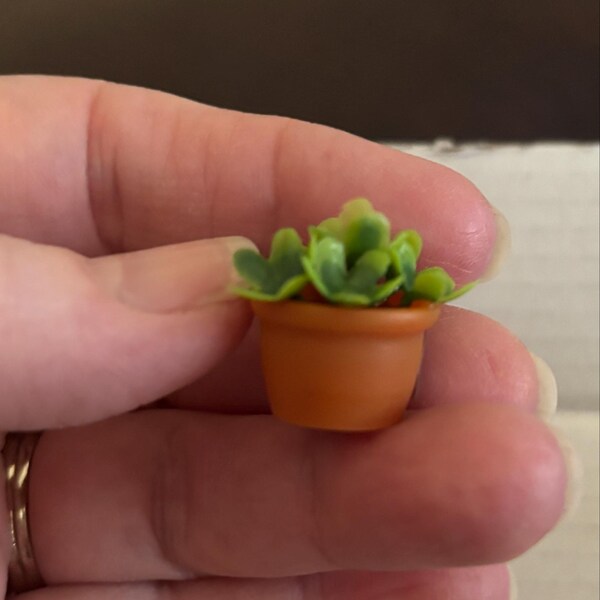 2pcs Set Mini Dollar Store Super Cute Mini Tiny Coffee Cups Miniature ...