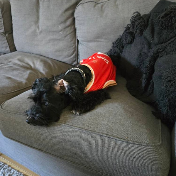 Liverpool FC inspired Personalised Pet Tank Top With Original FC Logo ...